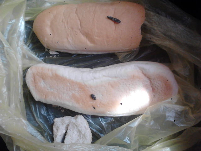 Quillota: Encuentran feca de ratón en pan de supermercado - Conadecus