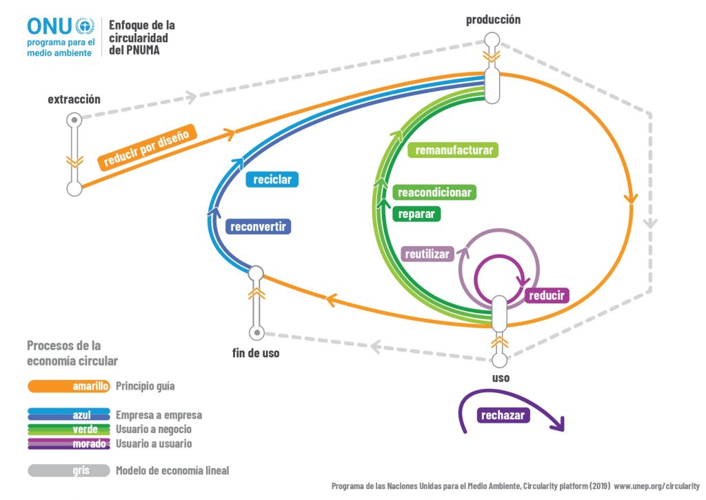 Cero desperdicios: conozcamos el concepto de las 8R - Conadecus
